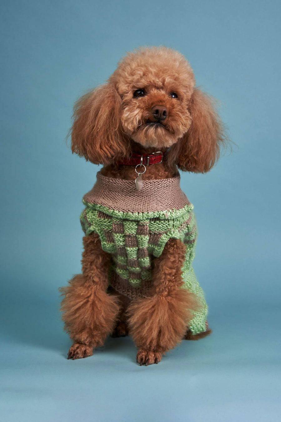 Shroom & Pistachio Checker Crochet Dog Sweater – MLE