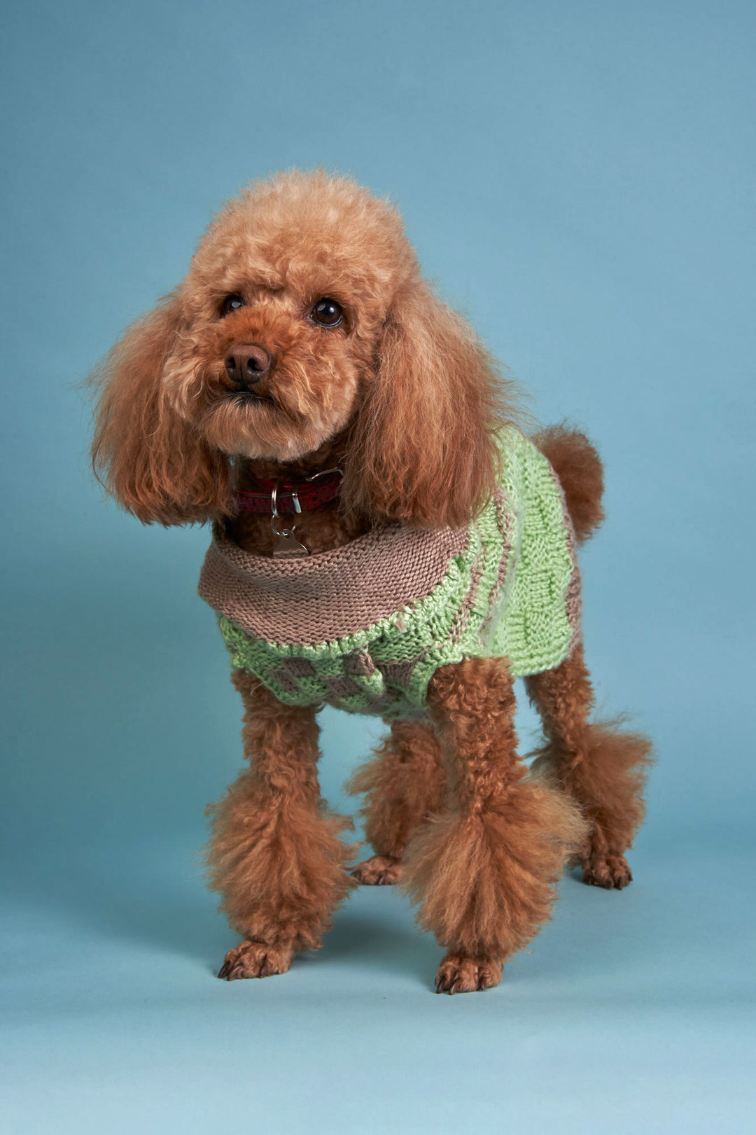 Shroom & Pistachio Checker Crochet Dog Sweater – MLE